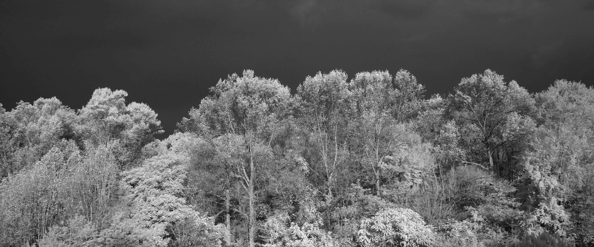 Make a difference - GraceWorks International