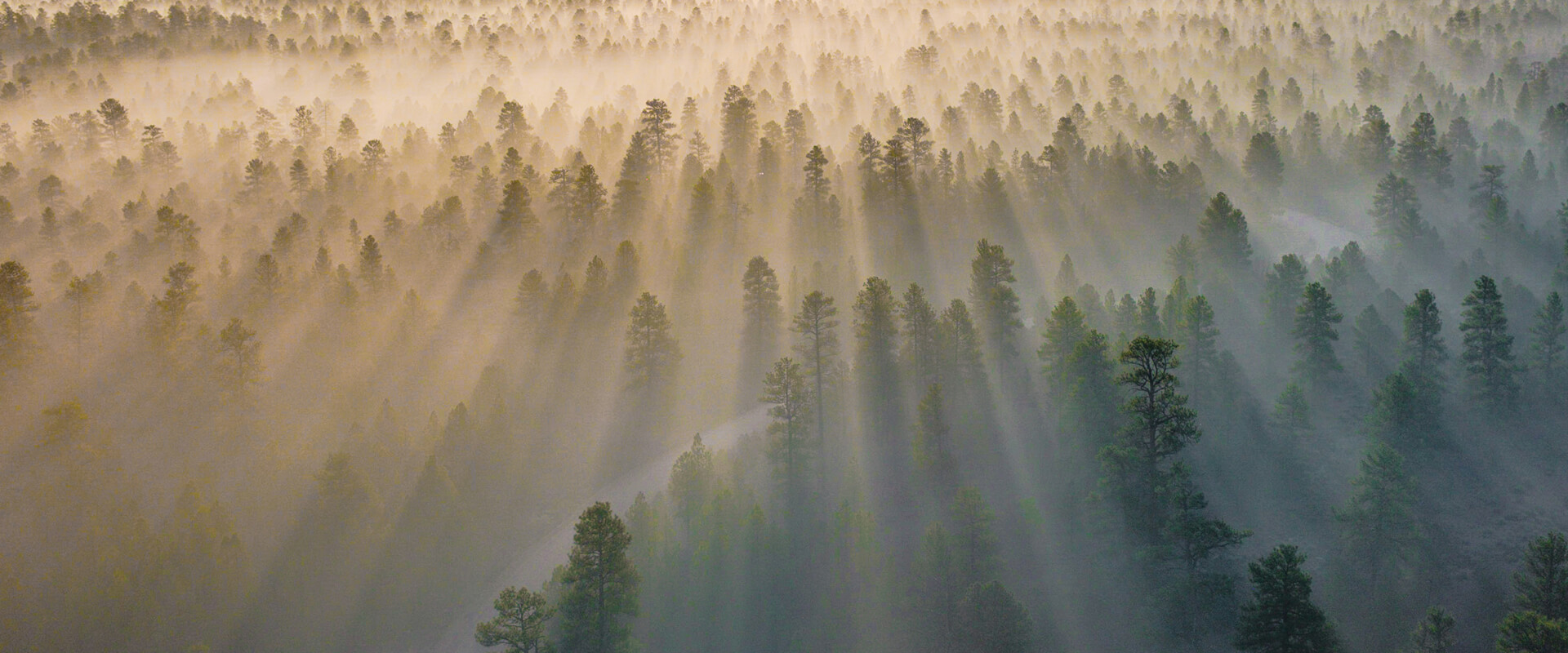 About - GraceWorks International